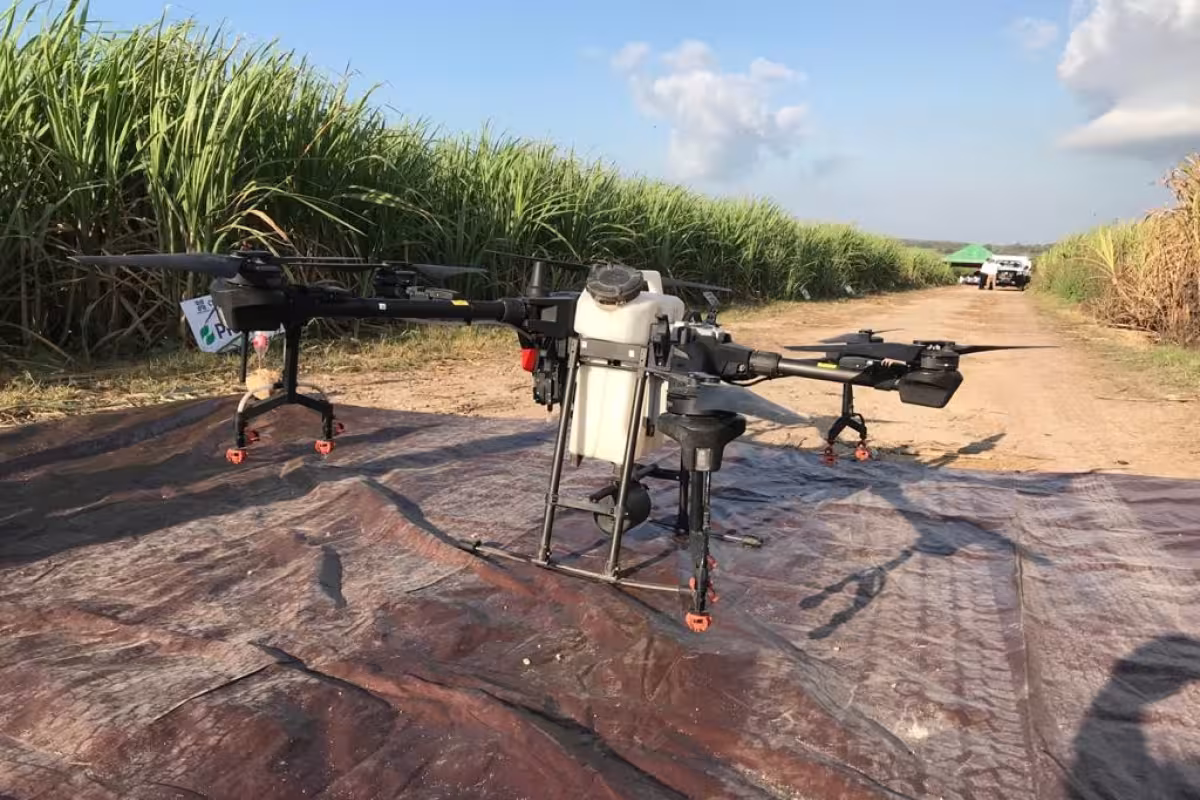 Drones son usados para fumigar plantíos cañeros en la ribera del Río ...