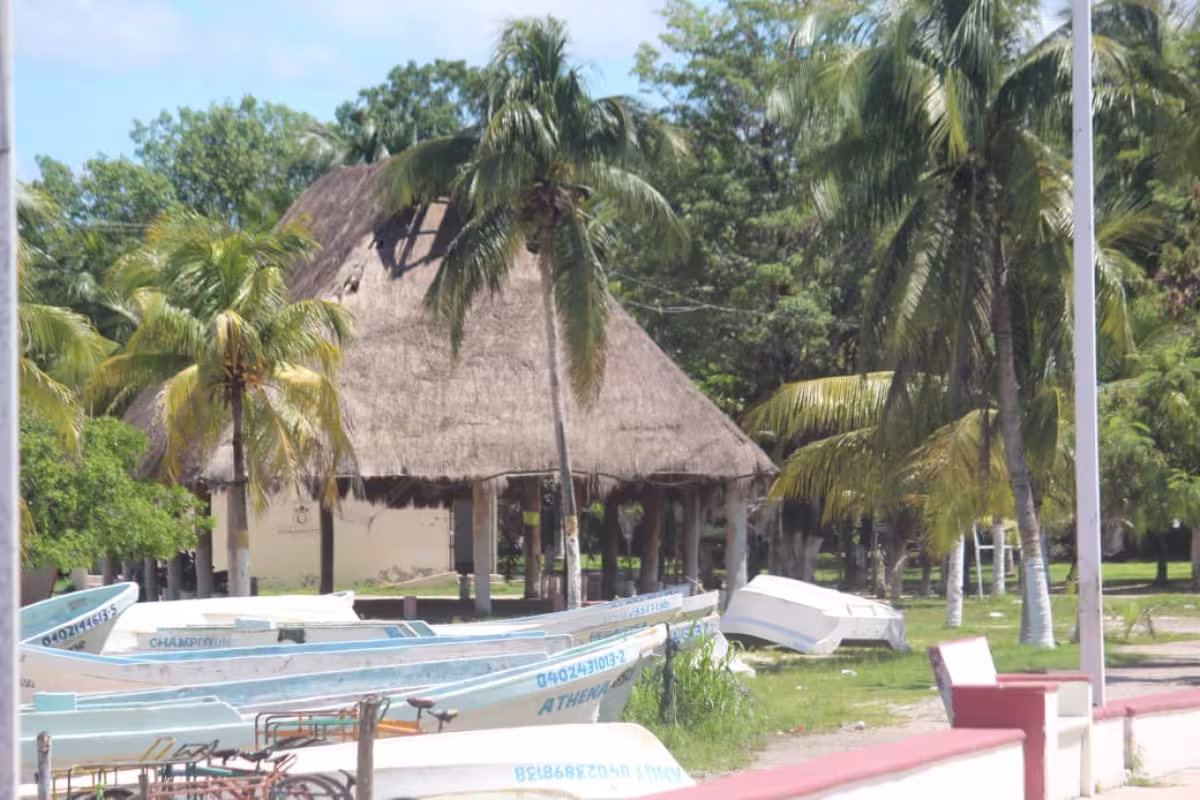Techo de palma de guano de mega palapa 500 de Champotón está en mal ...