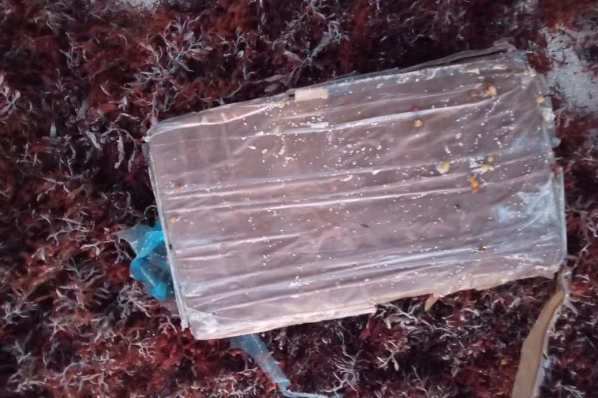 Ejército Mexicano Asegura Paquete De Droga En Quintana Roo Poresto
