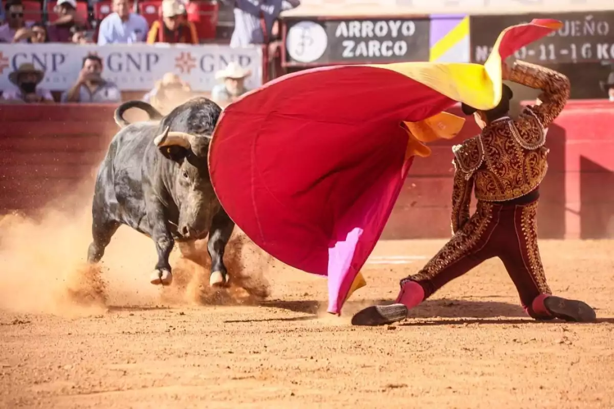 Vuelven las corridas de toros a la Plaza México en la CDMX - PorEsto