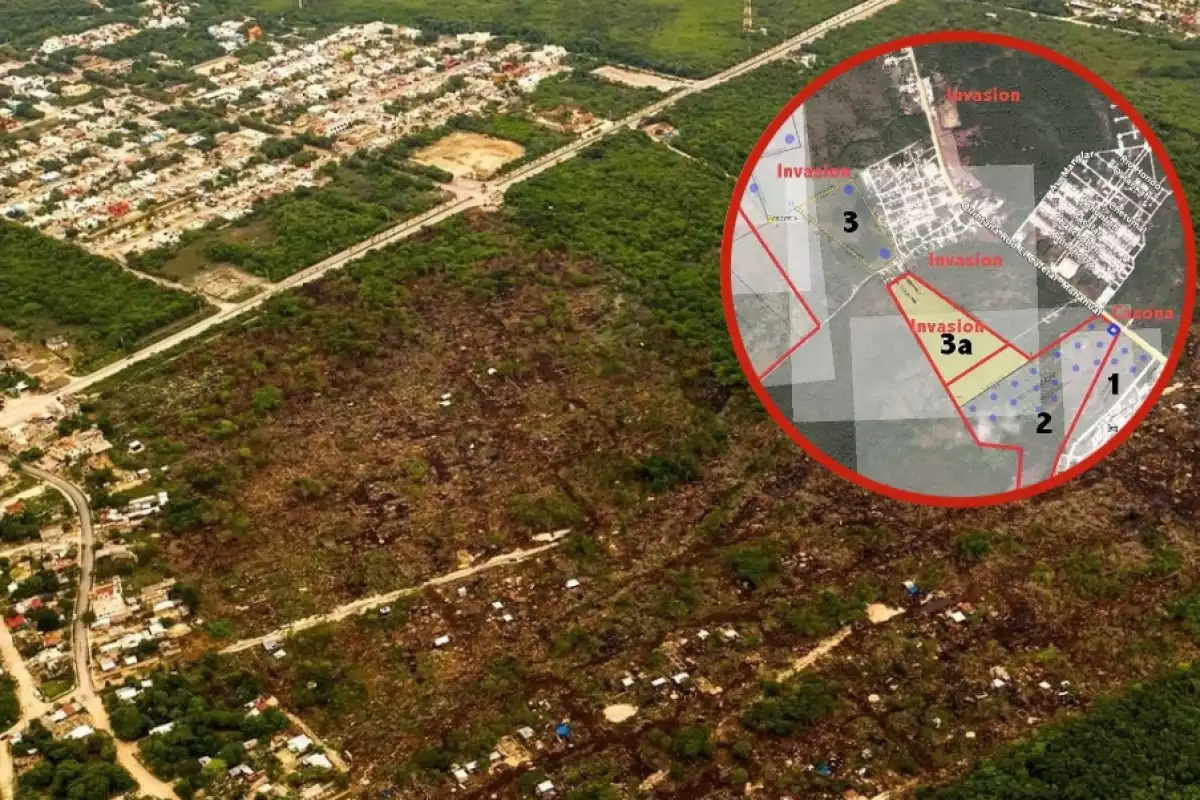 Mafia de terrenos en Mahahual, el negocio de líderes invasores - PorEsto