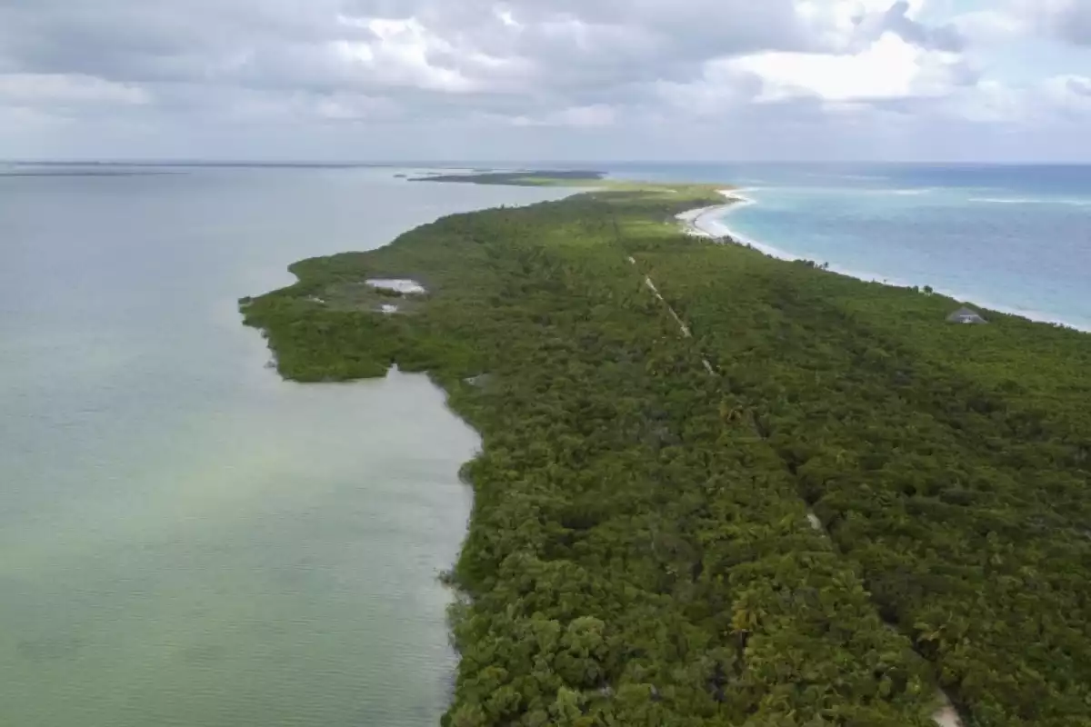 Tulum: Semarnat someterá a consulta pública proyecto residencial en la ...