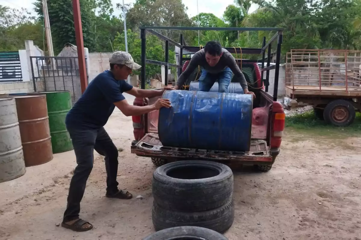 Apicultores de José María Morelos registran buena cosecha de miel ...