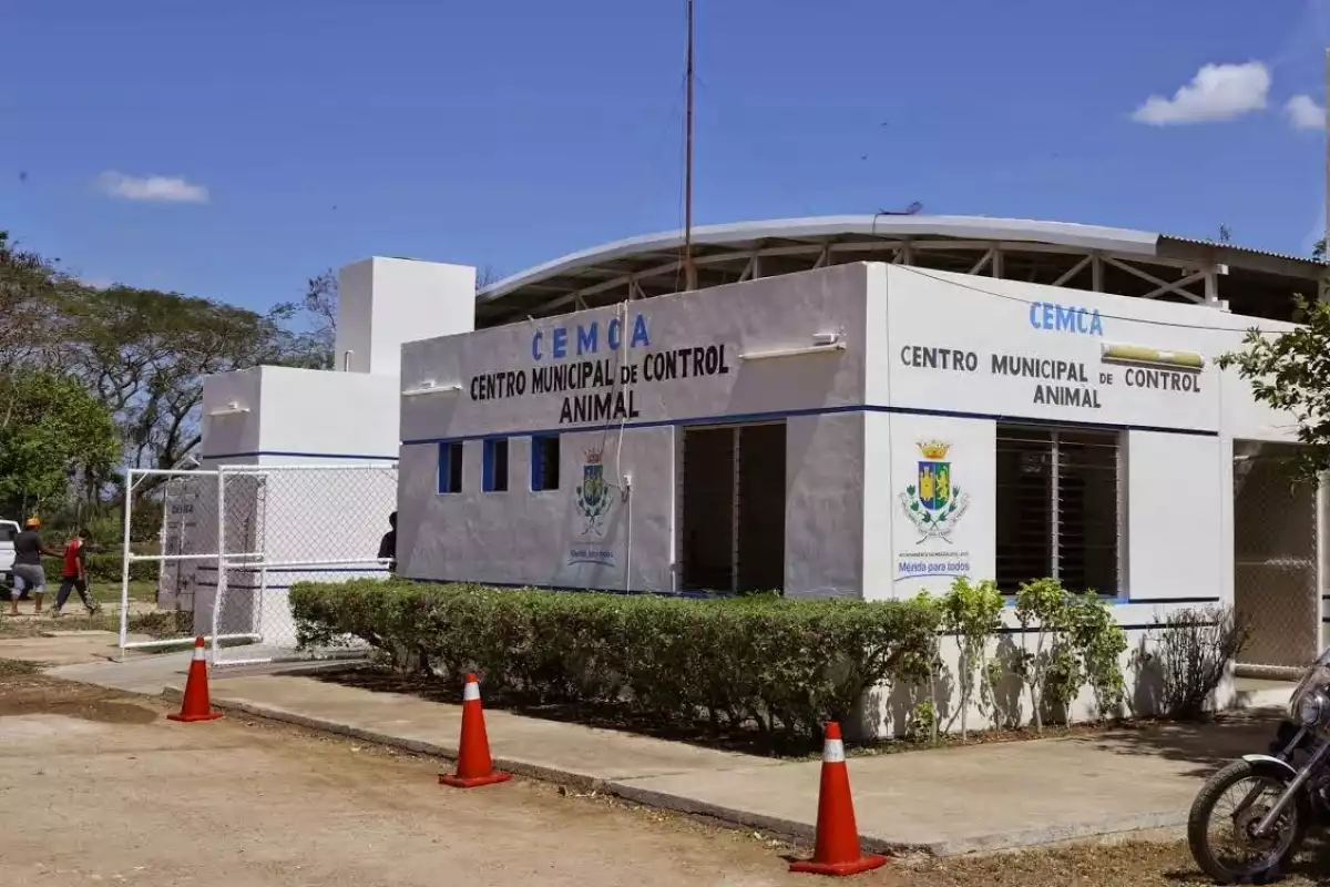 Abren perrera municipal a animalistas en Mérida; promoverán adopciones ...
