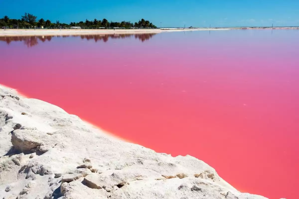 Ruta para llegar de Mérida a Las Coloradas donde el agua es rosa - PorEsto