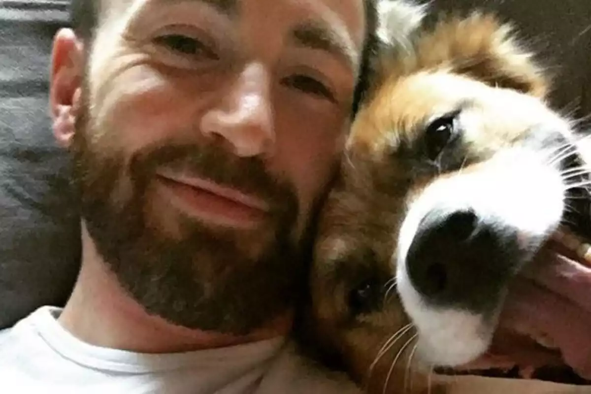 Chris Evans hace un tierno acto de amor por su perro - PorEsto
