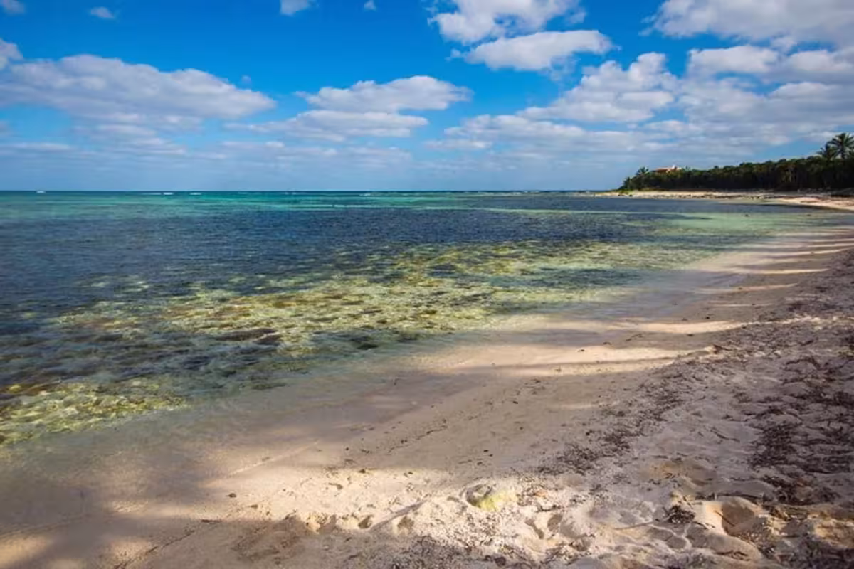 Bahía Solimán, una playa paradisiaca de la Riviera Maya ideal para ...