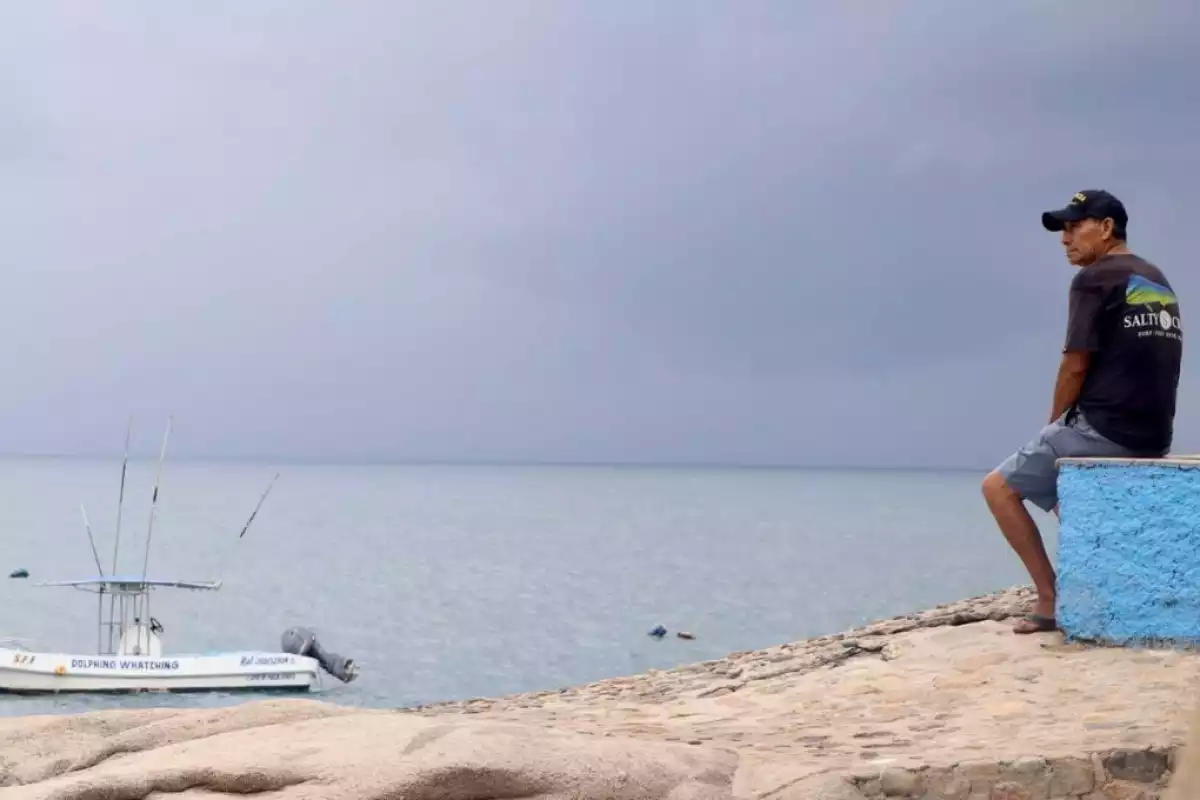 Qué es la erosión costera y cómo afecta a los ecosistemas - PorEsto