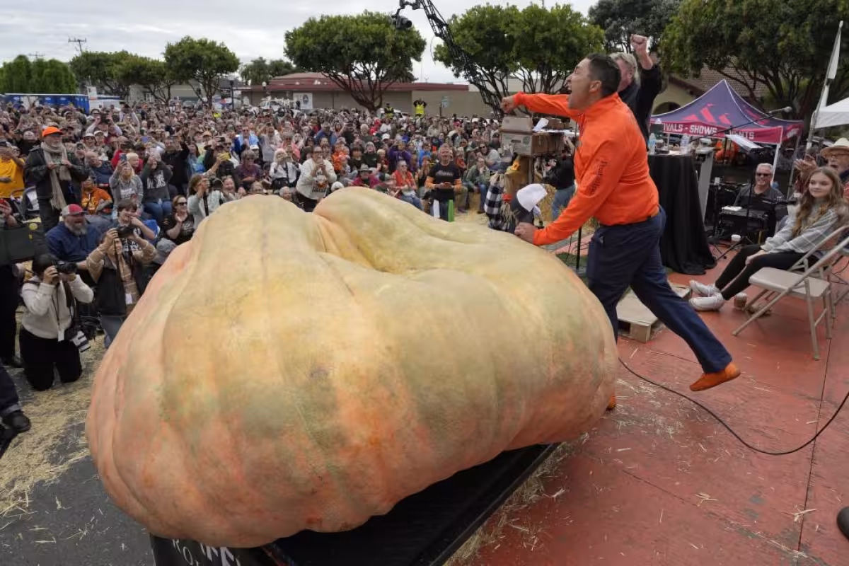 Calabaza gigante rompe un nuevo Récord Guinness en Estados Unidos - PorEsto