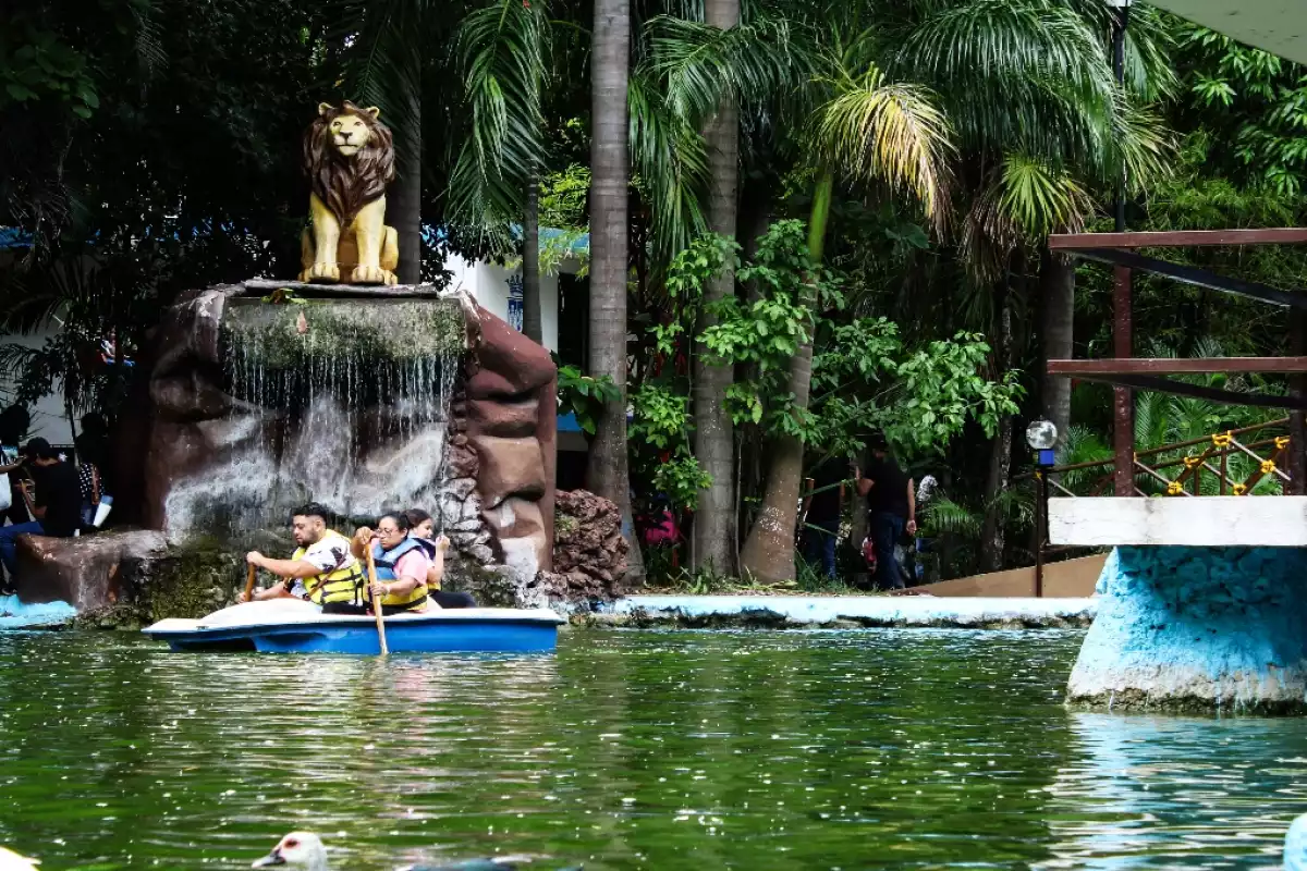 ¿Cómo llegar gratis a Animaya y el Zoológico Centenario de Mérida ...