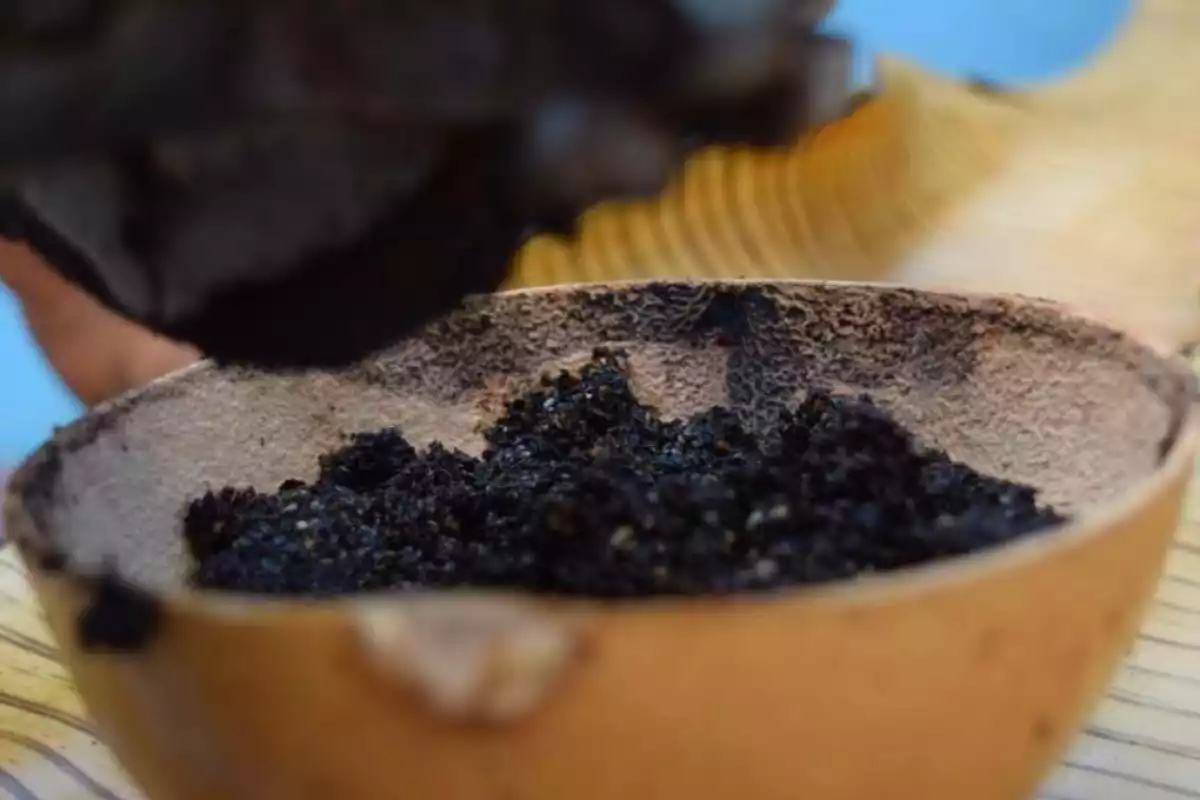 ¿Cómo se hace el recado negro, el sabroso condimento de Yucatán? - PorEsto