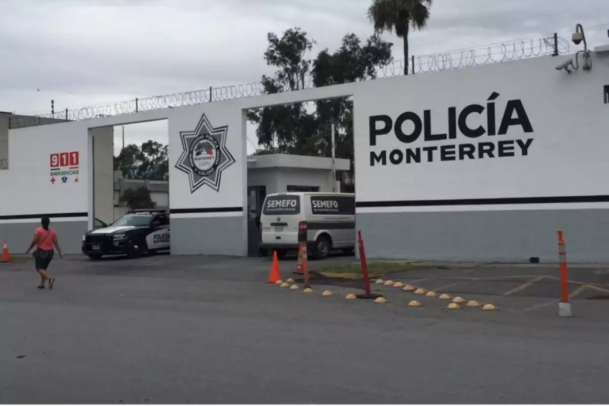 Reo se escapa del Parque Alamey de Monterrey - PorEsto