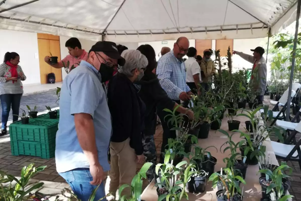 CICY abre sus puertas en Mérida y muestra sus avances científicos - PorEsto