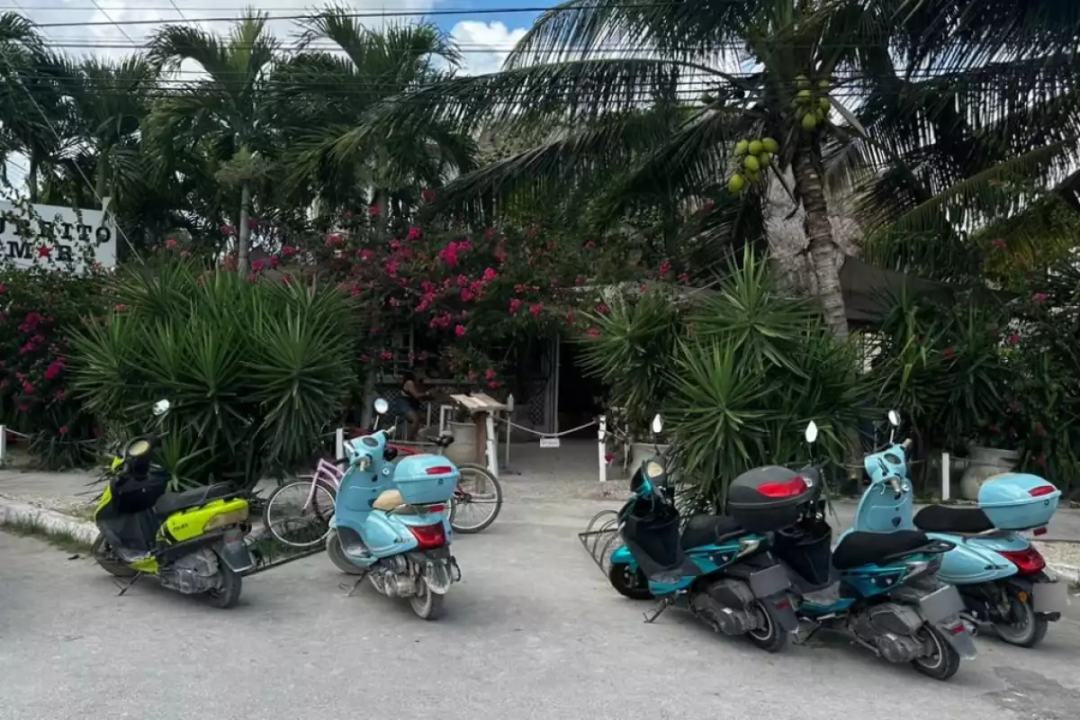 Sobrino de Caro Quintero no fue detenido en Tulum: Mara Lezama ...