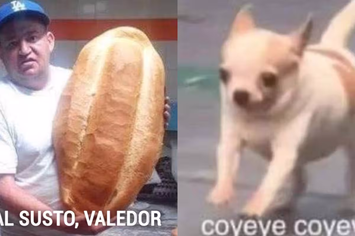 Sismo en Cuernavaca, Morelos, deja los mejores memes en 'X' - PorEsto