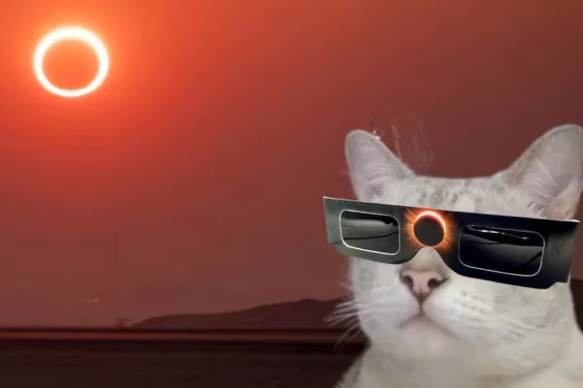 Lluvia de los mejores memes del eclipse solar 2024 - PorEsto
