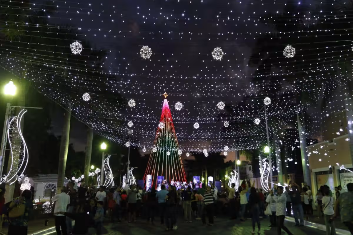 Preparan encendido del árbol y luces navideñas en Paseo de Montejo en ...
