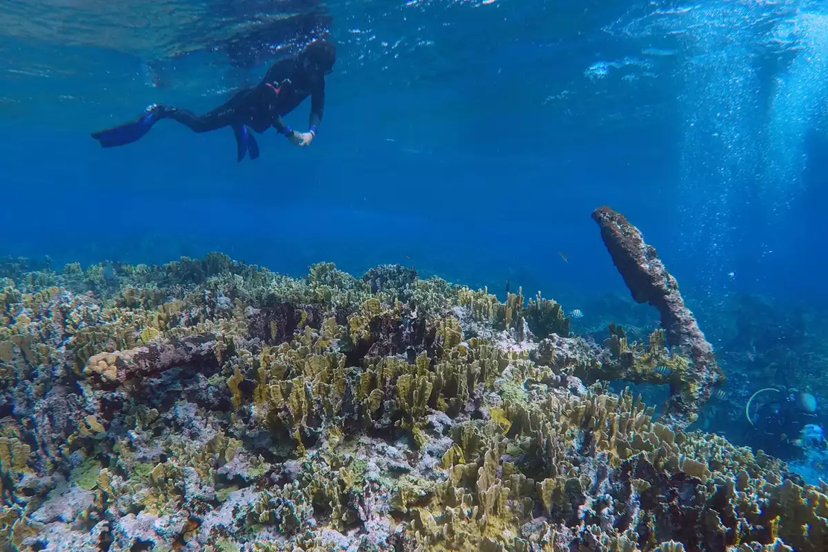 'Manuel Polanco': naufragio rodeado de belleza marina en Banco ...