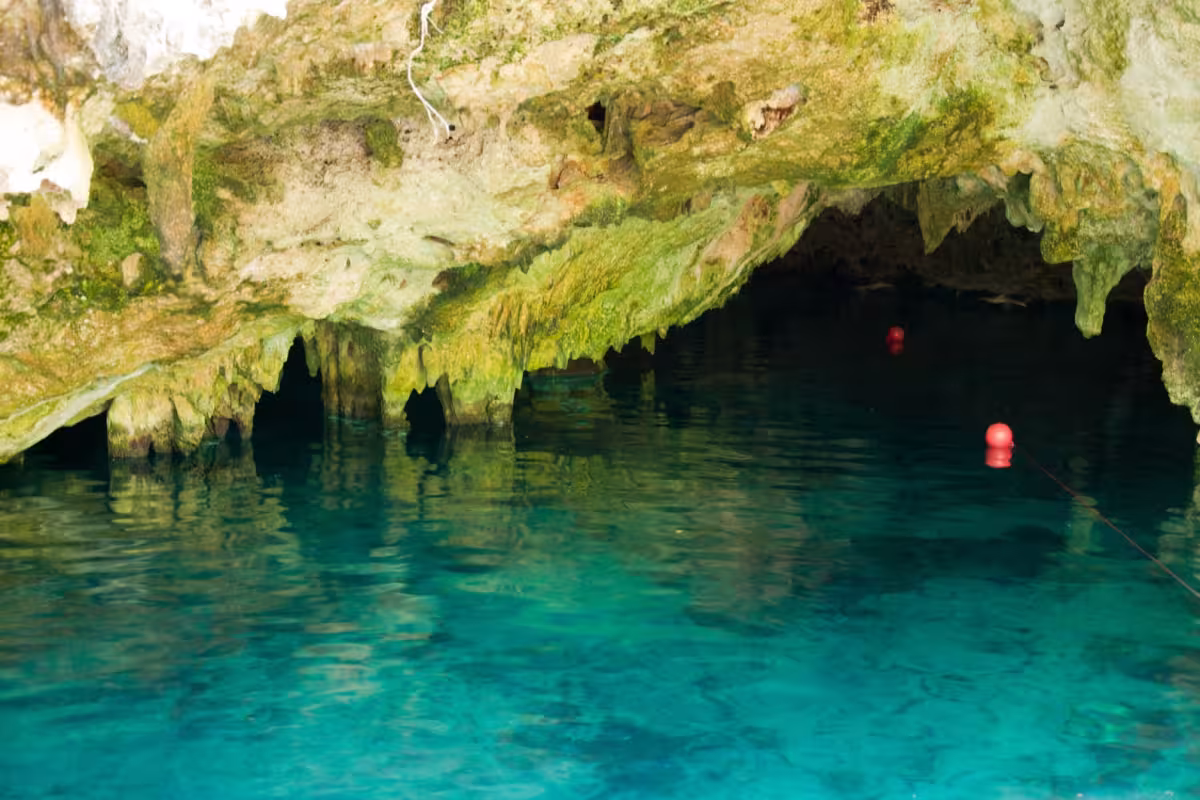 El Gran Cenote en Tulum, medialuna de aguas cristalinas en Quintana Roo ...