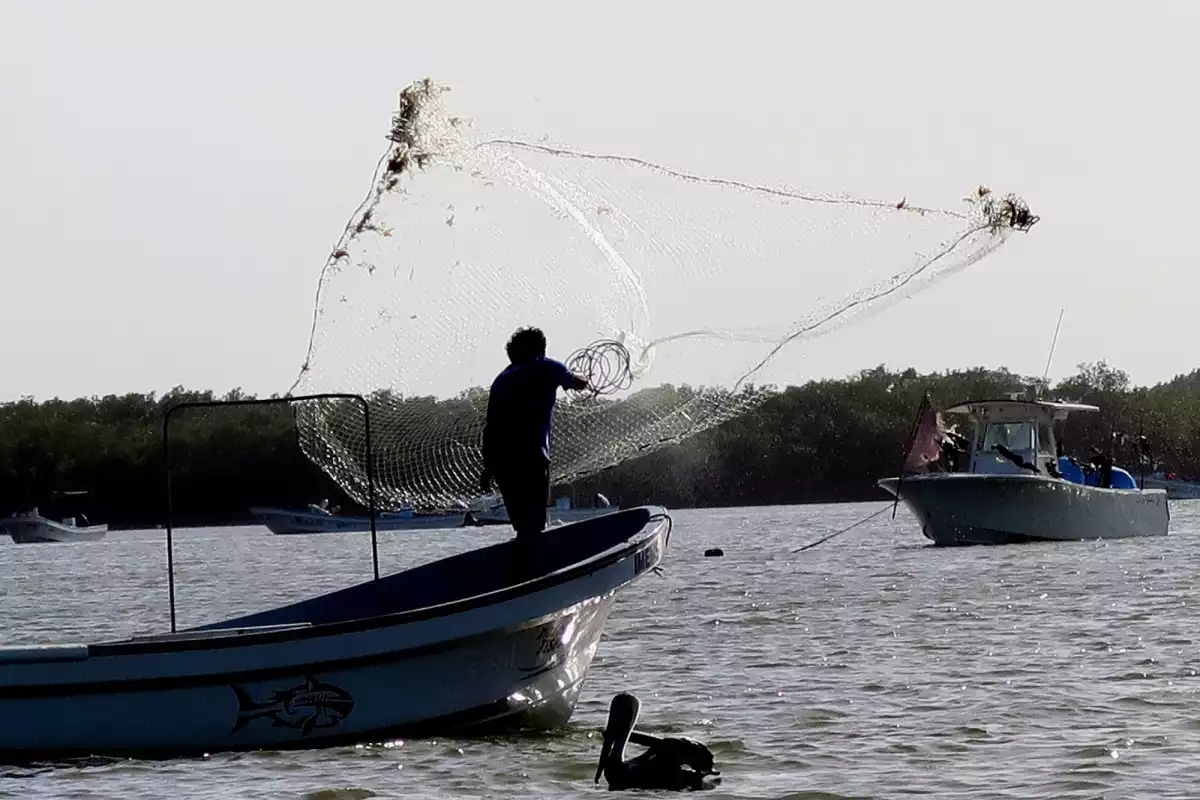 Atarrayas, una tradición ancestral en las costas de Yucatán - PorEsto