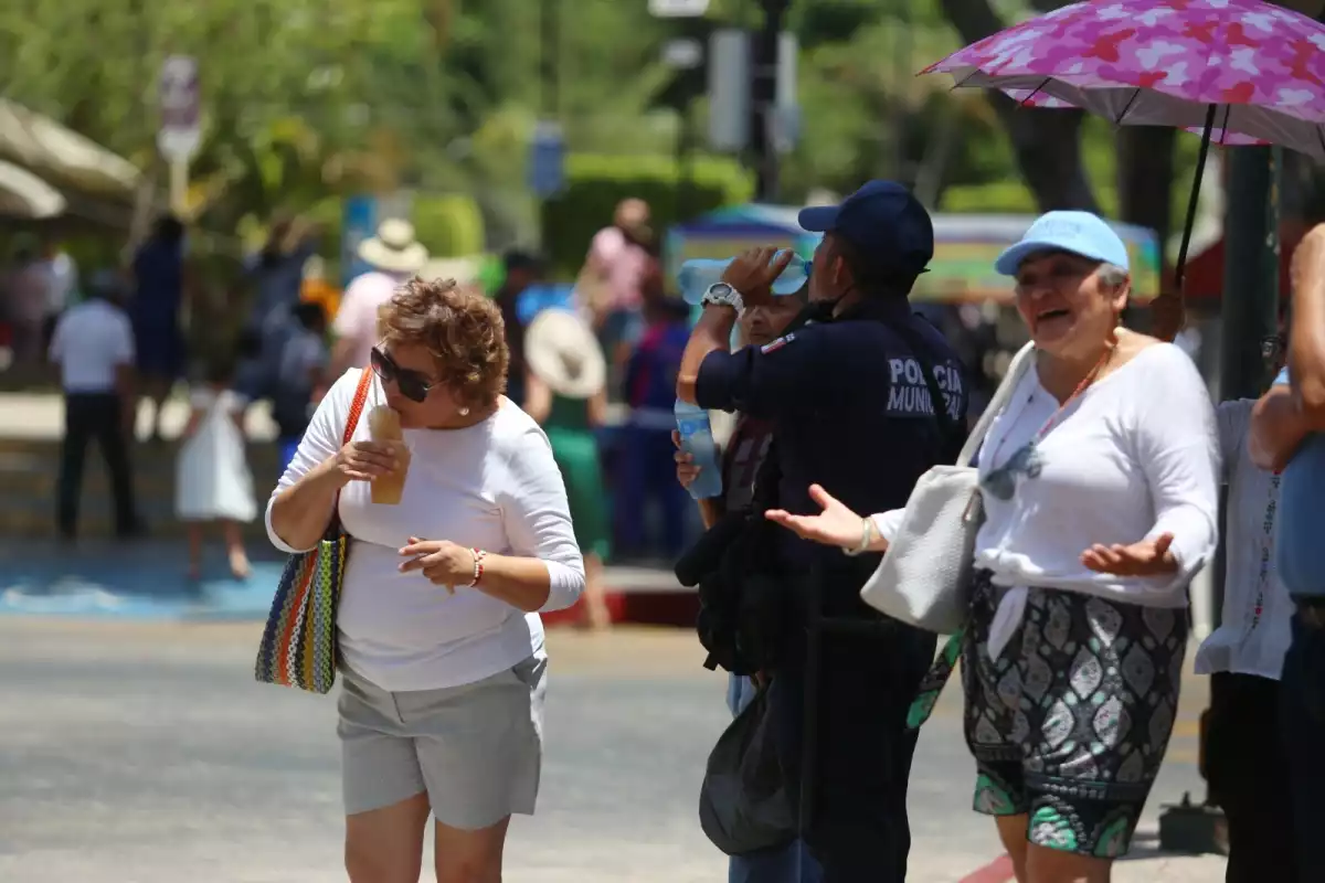 Palabras yucatecas: ¿Qué significa anolar? - PorEsto