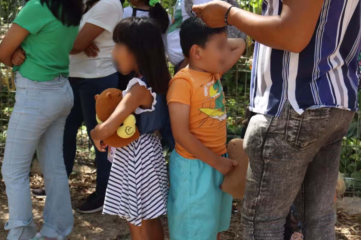 Capibaras atraen a visitantes en el zoológico Animaya en Mérida - PorEsto