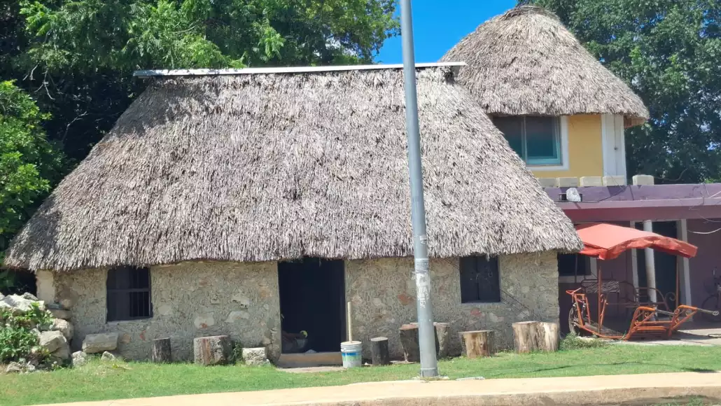 Construir con palma de huano: Tradición en riesgo por altos costos y ...