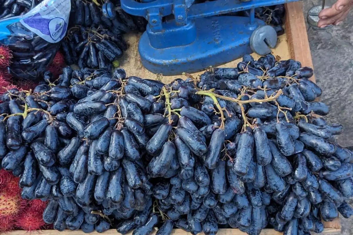 Uva alargada y negra, la fruta exótica que llegó de California a José ...