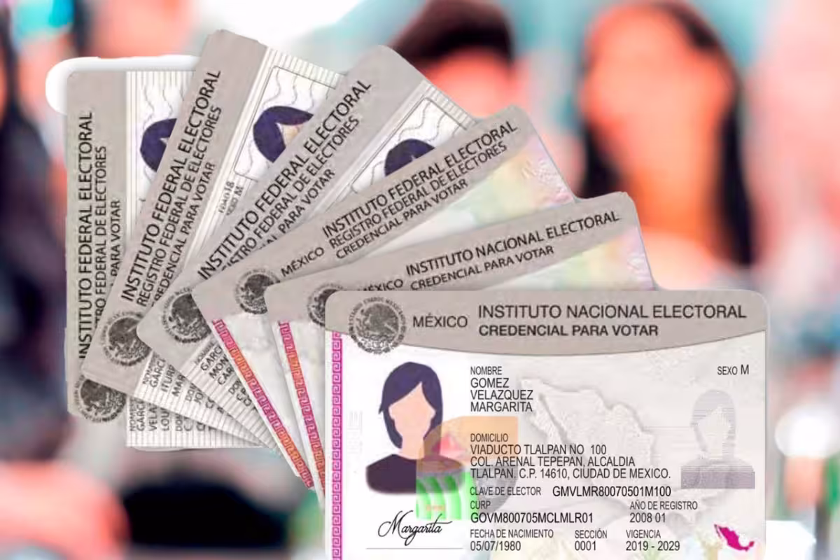 INE: ¿Qué documentos puedes utilizar para identificarte si no renovaste ...