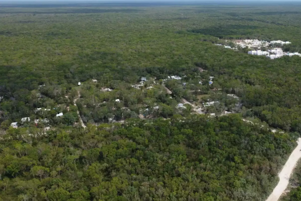 Mafia de tierras ejidales en Tulum: Llaman a funcionarios a declarar ...