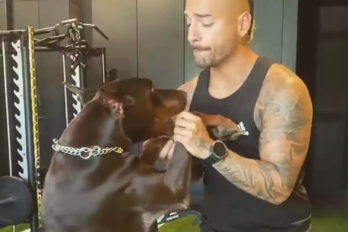 Maluma y su perro Buda dan la bienvenida al viernes a ritmo de charanga ...