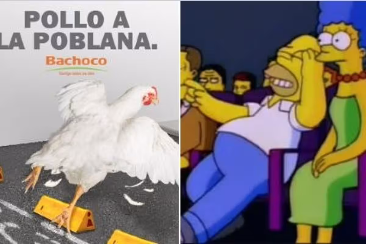 Bachoco: Los memes tras el 'Pollo a la Poblana' - PorEsto