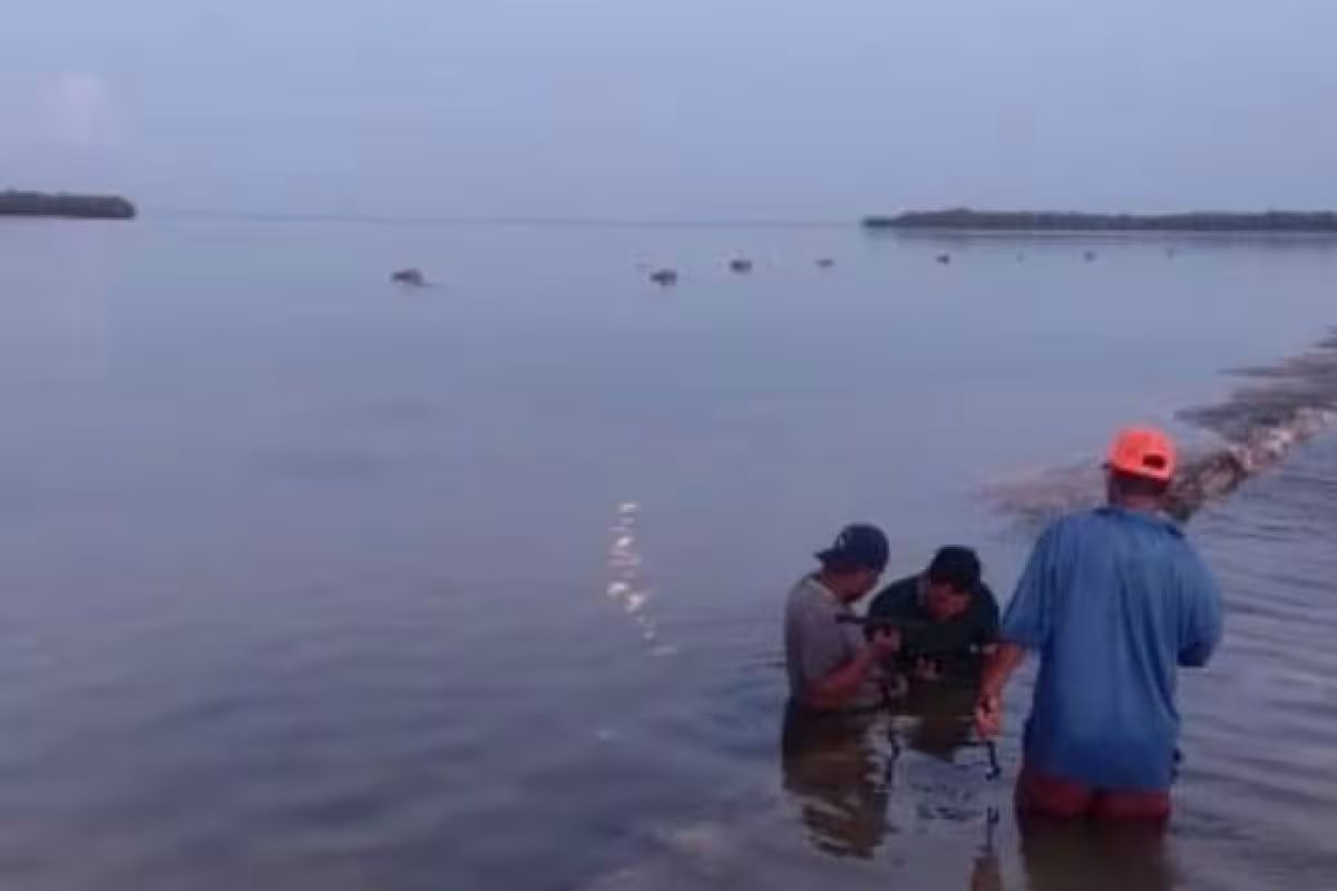 Fuerte oleaje durante el paso del Huracán Grace rompe tuberías en ...