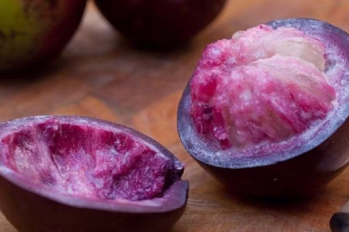 Jugo de caimito: ¿Cómo preparar esta bebida exótica del Caribe? - PorEsto