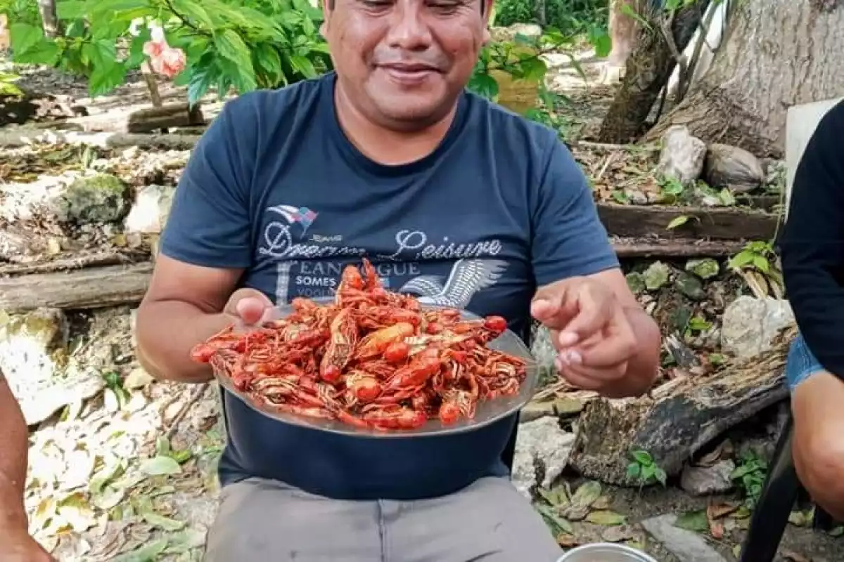 Camarón 'Mayacaste' prolifera en comunidades rurales del sur de ...