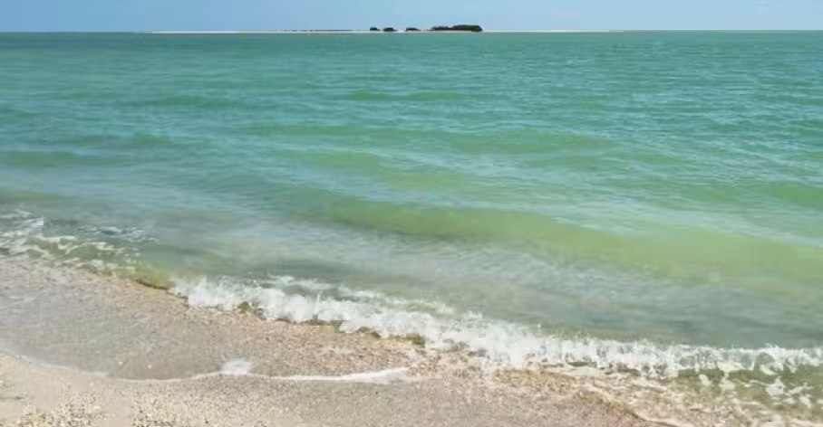 Conoce la 'Isla de las Comadres', un paraíso sumergible en Campeche ...