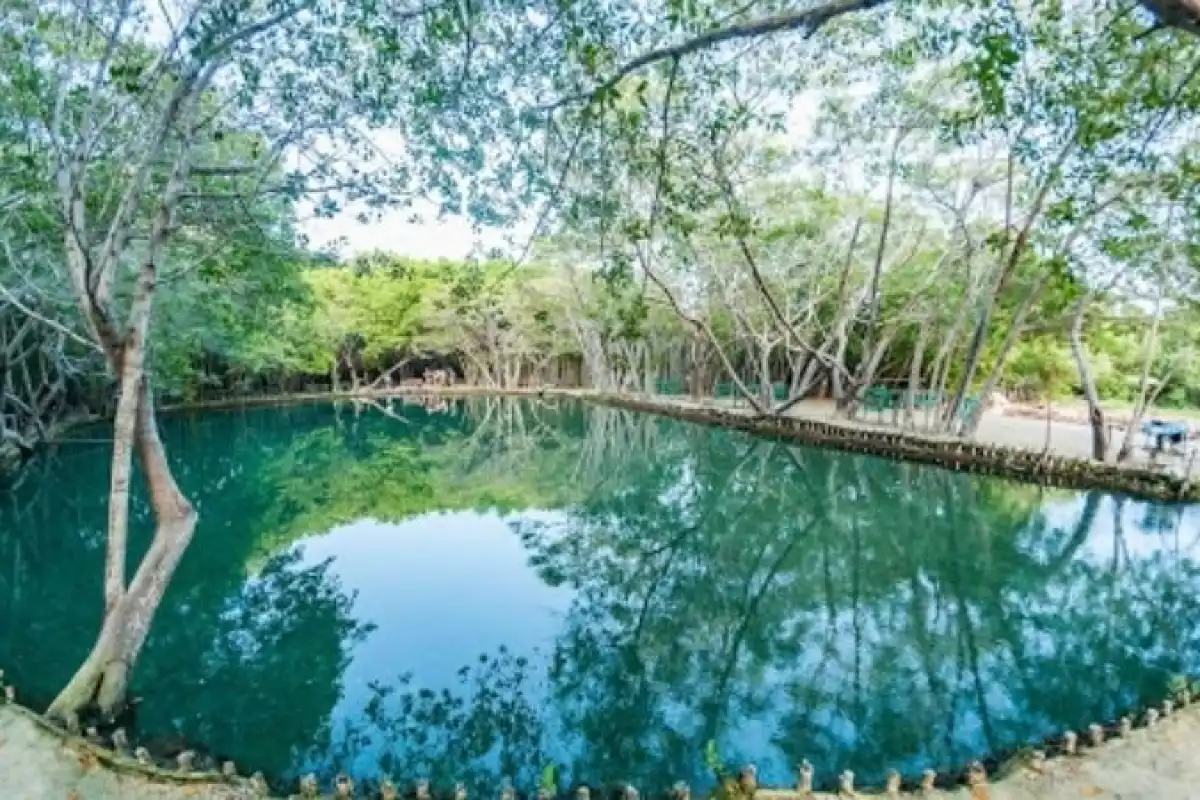 Visita el Cenote Helecho en Progreso, la opción perfecta si no sabes ...