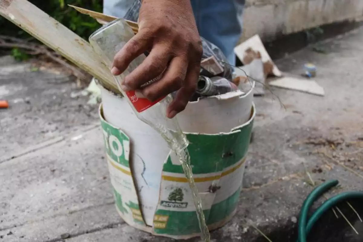 Retirarán potenciales criaderos de moscos en estas comisarías y ...