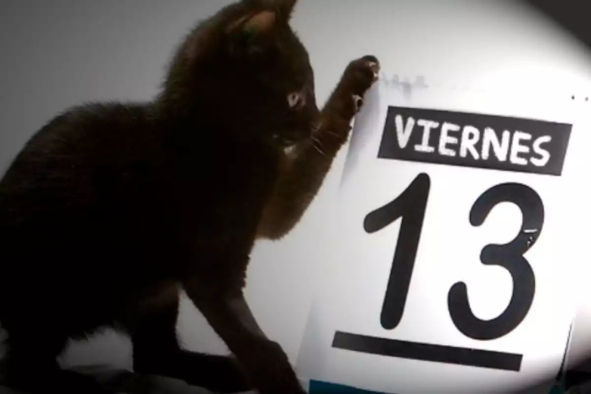 ¿Qué no se debe hacer en un viernes 13? - PorEsto