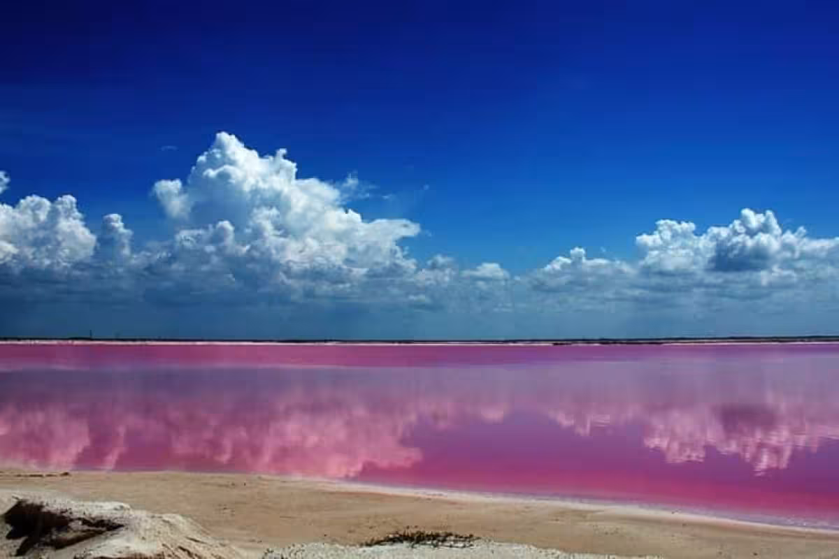 Mar rosa en Yucatán, ¿por qué el agua es de este color? - PorEsto