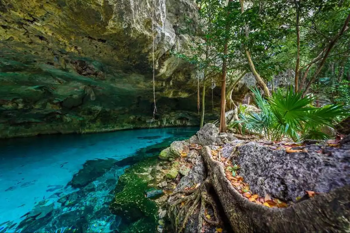¿Cuál es la zona de Quintana Roo con más cenotes? - PorEsto