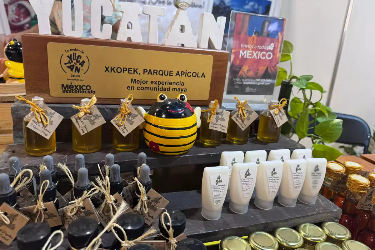 Trabajan para salvaguardar las 16 especies de abejas mayas que hay en ...