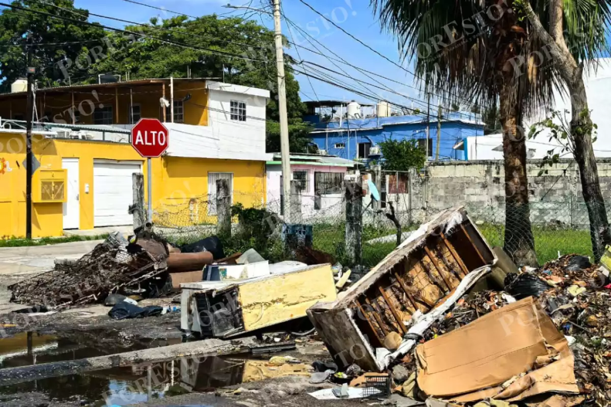 Basura con animales muertos genera fétidos olores en Campeche - PorEsto