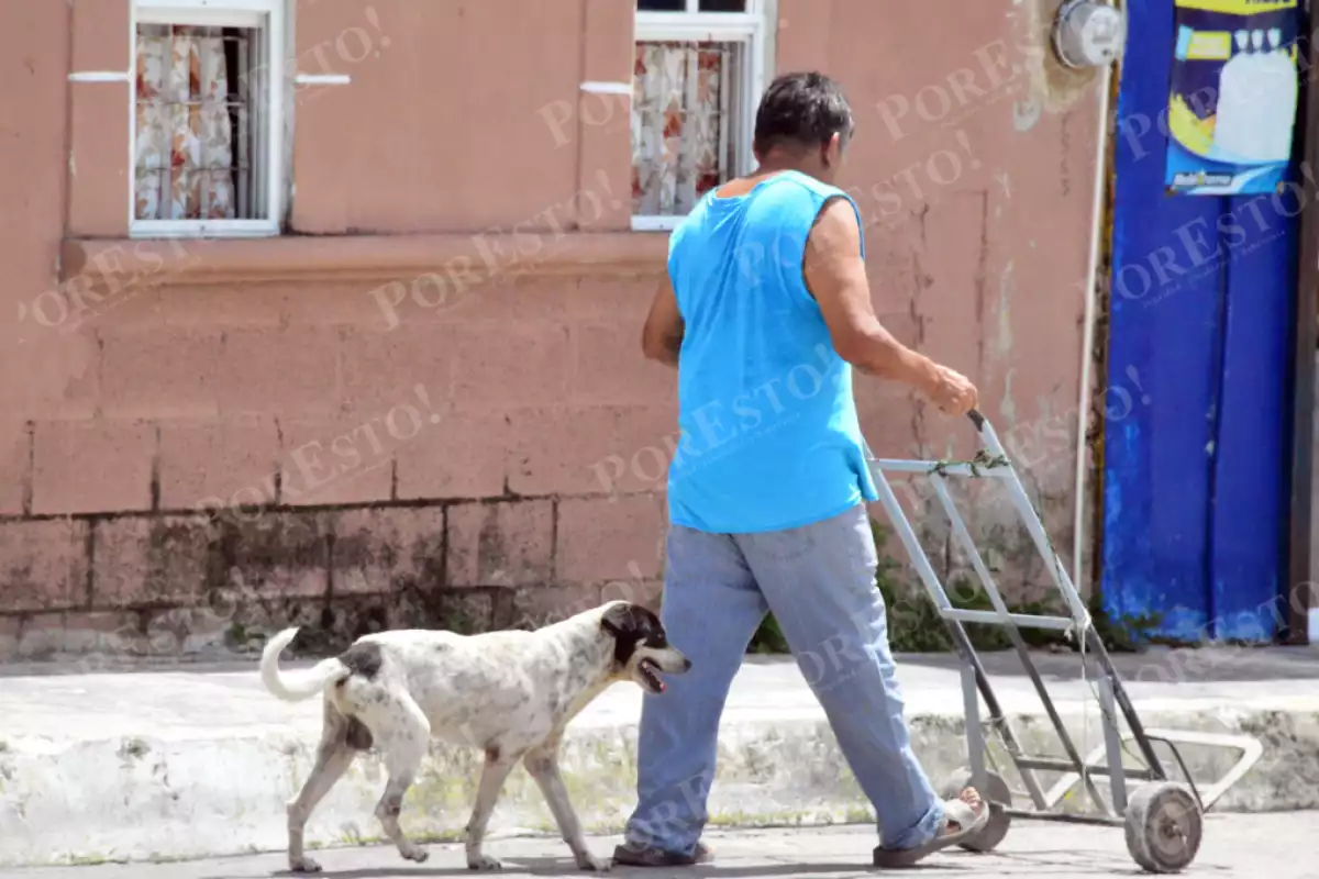 Investigados por zoofilia en Campeche podrían entrar a prisión - PorEsto
