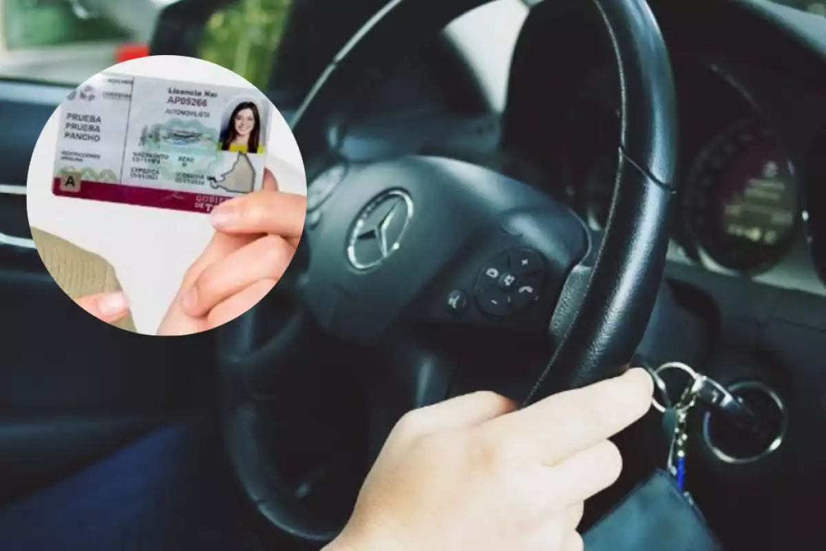 Descuento del 10% en licencias de conducir de Q. Roo: Estas son las ...