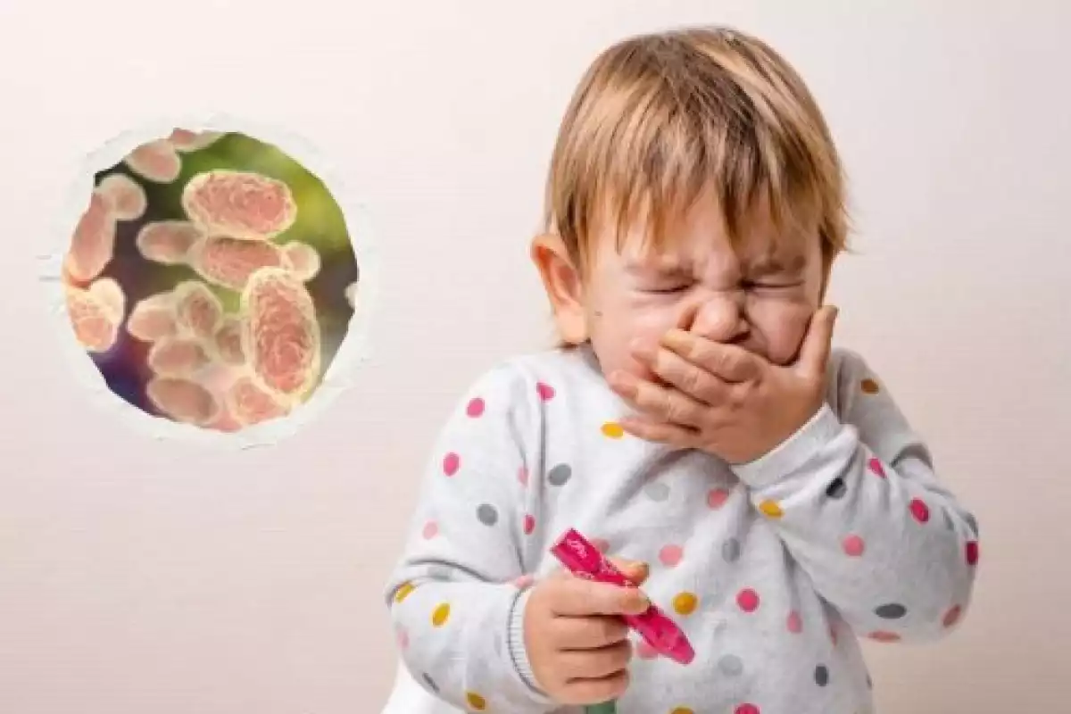 Casos de tos ferina en Yucatán: Alertan sobre riesgos en bebés - PorEsto