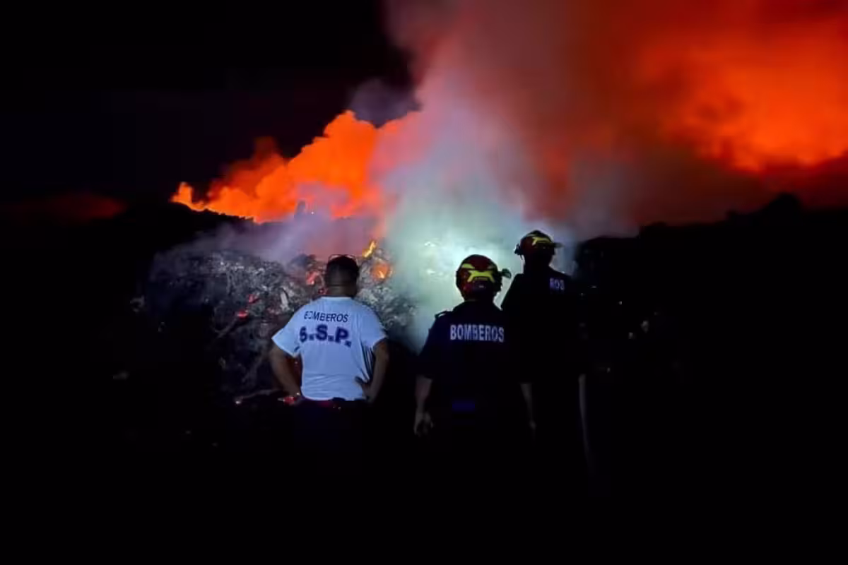 Yucatán cerró el 2025 con menor número de incendios forestales en la ...