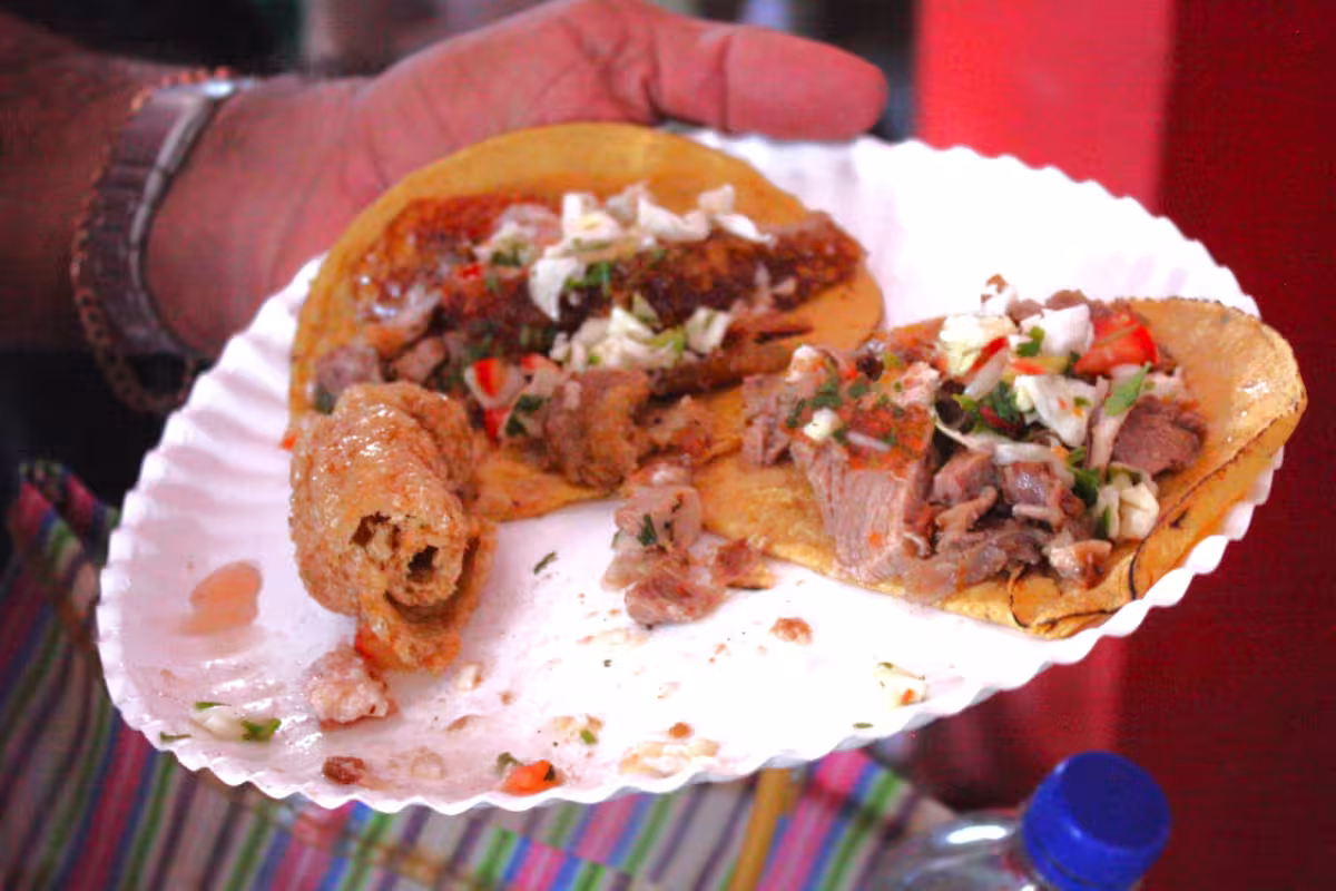 Séptima edición de la Feria de la Chicharra deleita a los yucatecos en ...