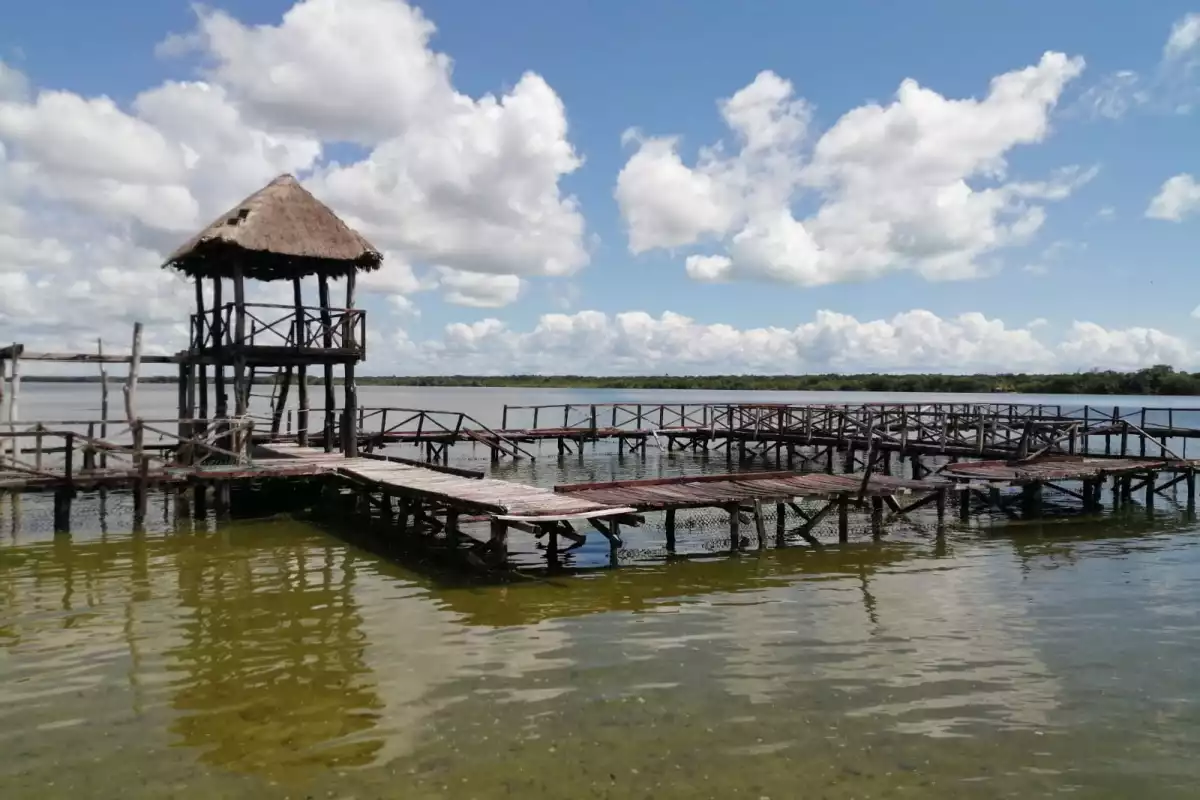 Exponen deterioro del Santuario del Manatí en Chetumal; exigen trabajos ...