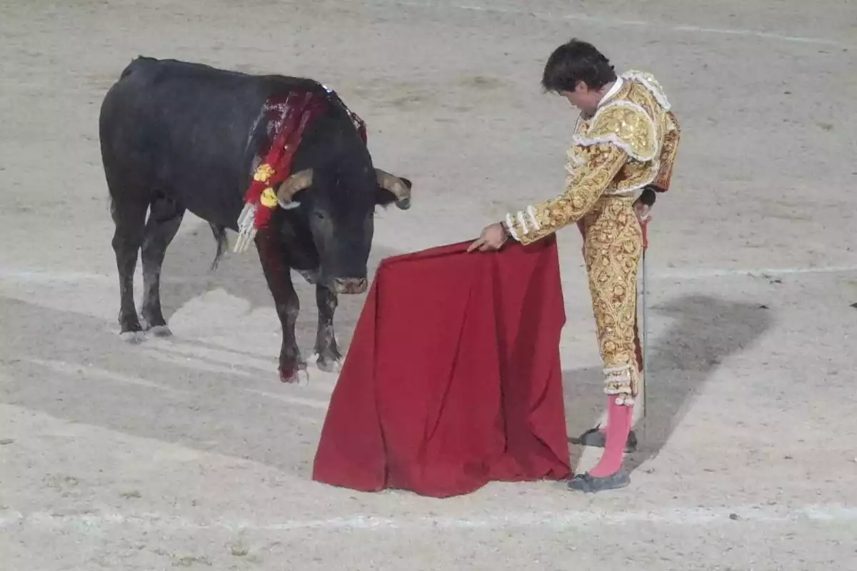 Corridas de toros en Campeche: Disputa entre la "tradición y el ...